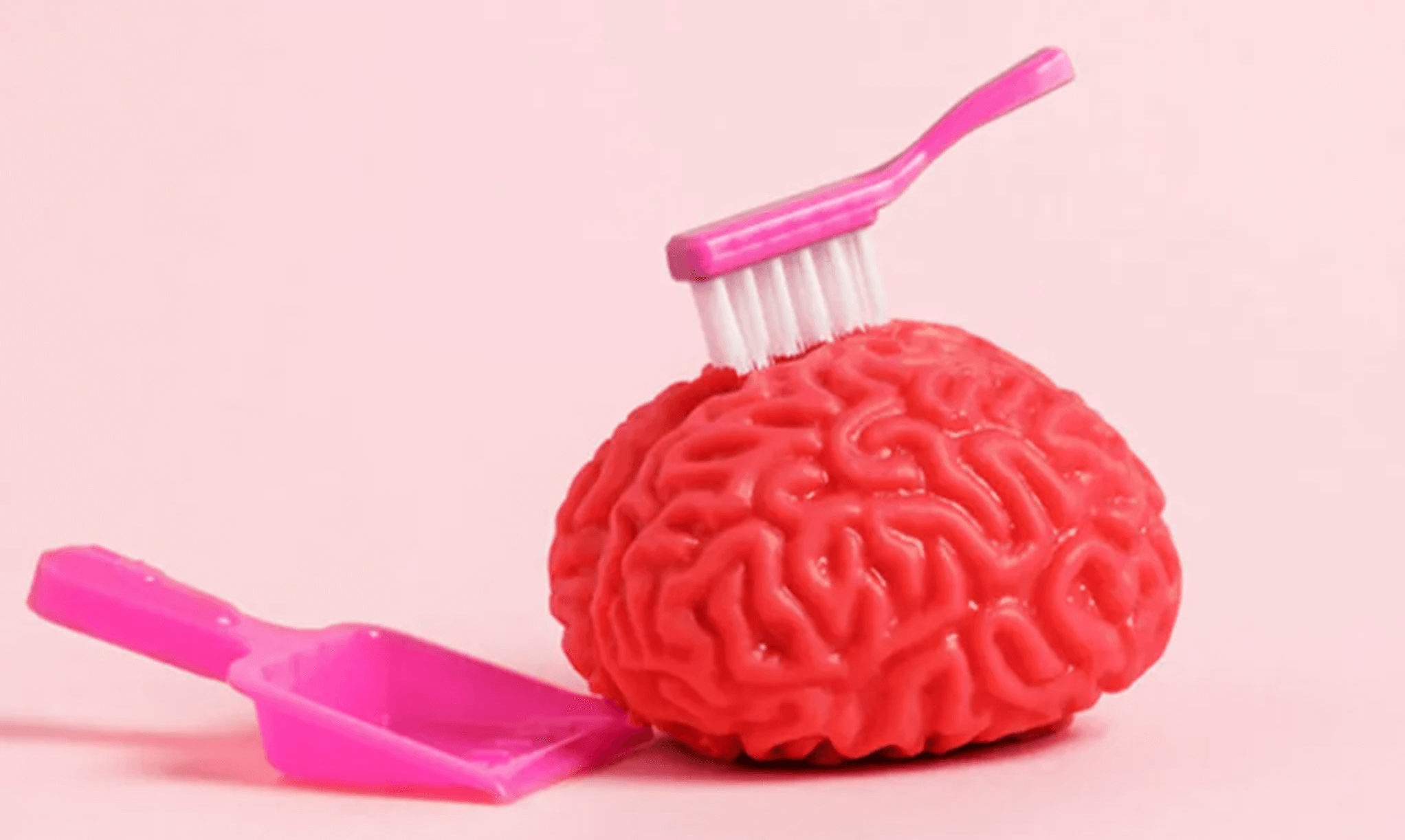 Study Restores Age-Damaged Brain's Waste Removal System